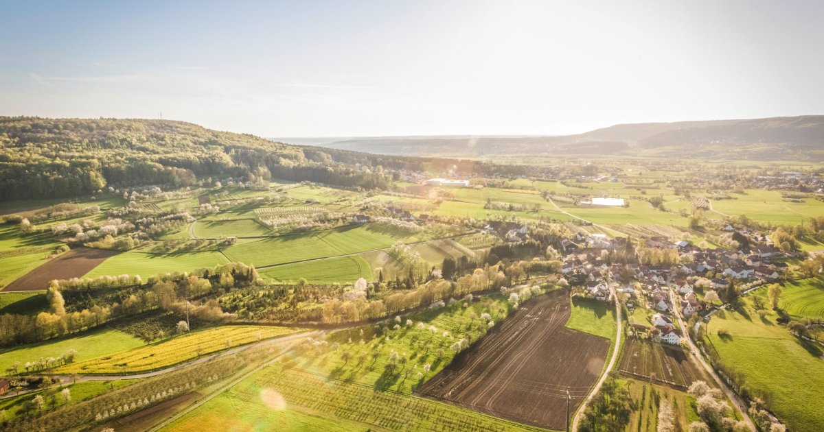 Rural Funders Peer Network: Rural Capacity Building–The Rural Partners ...